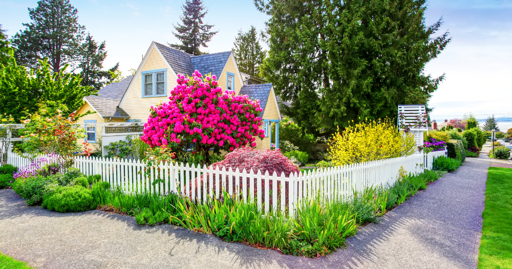 "composing a beautiful existence that barely needs a savior"