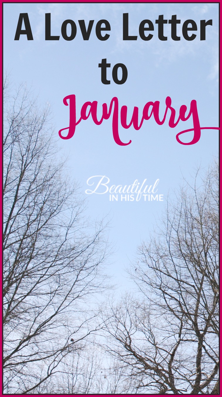 Dear January: A Love/Hate Letter to The Longest Month of the Year ...
