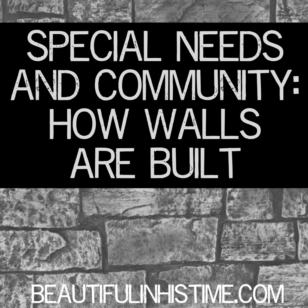 Special needs and community: how walls are built - Beautiful in His Time