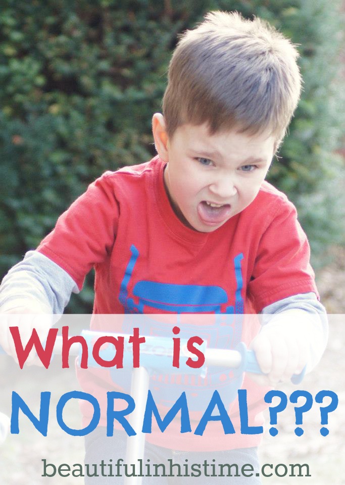 What Is Normal? - Beautiful in His Time