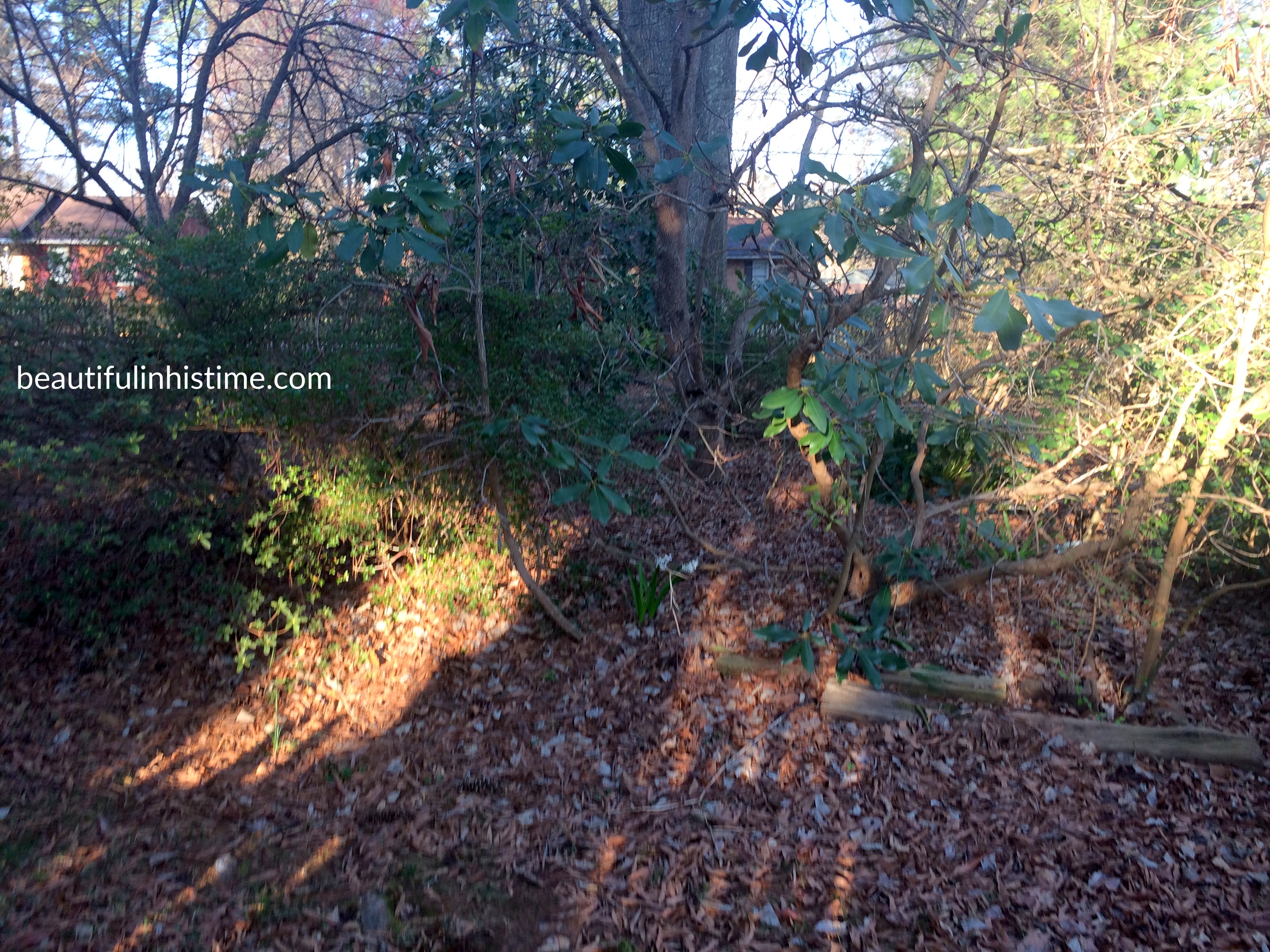 What our neglected yard is teaching me about my faith and spiritual ...
